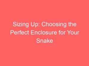 Sizing Up: Choosing the Perfect Enclosure for Your Snake - Family Snake